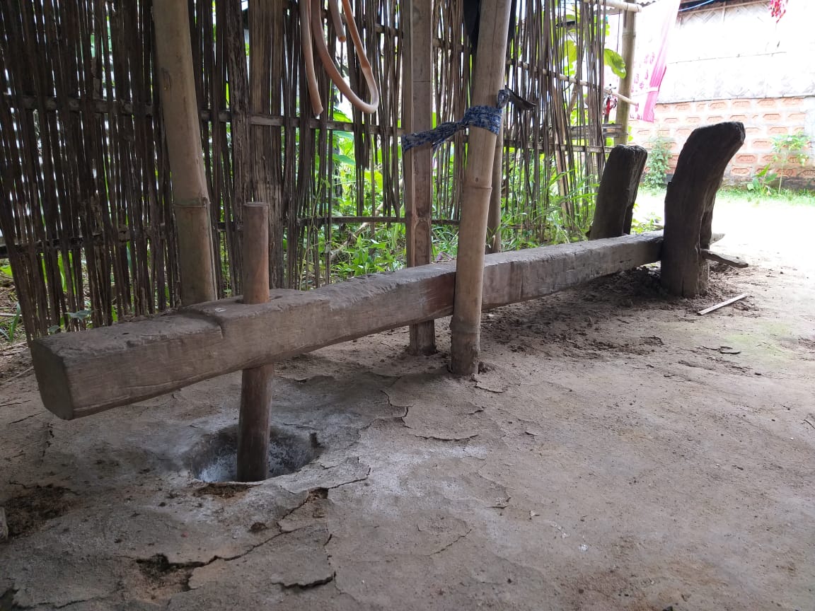 Dheki shaak…savouring the wild greens – FOODIESTREASURE