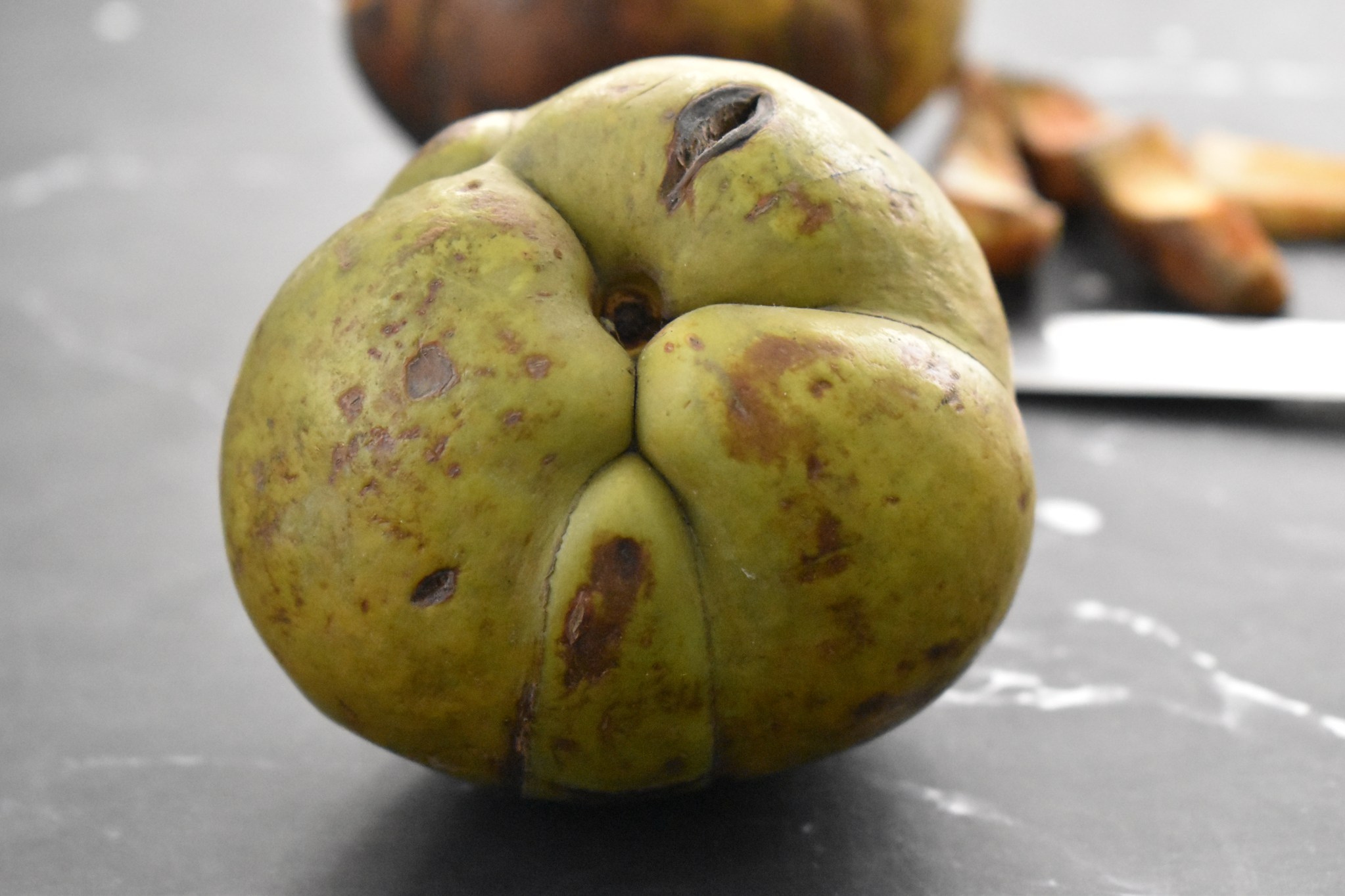 Elephant Apple/ Chaaltaa Thandaai – FOODIESTREASURE