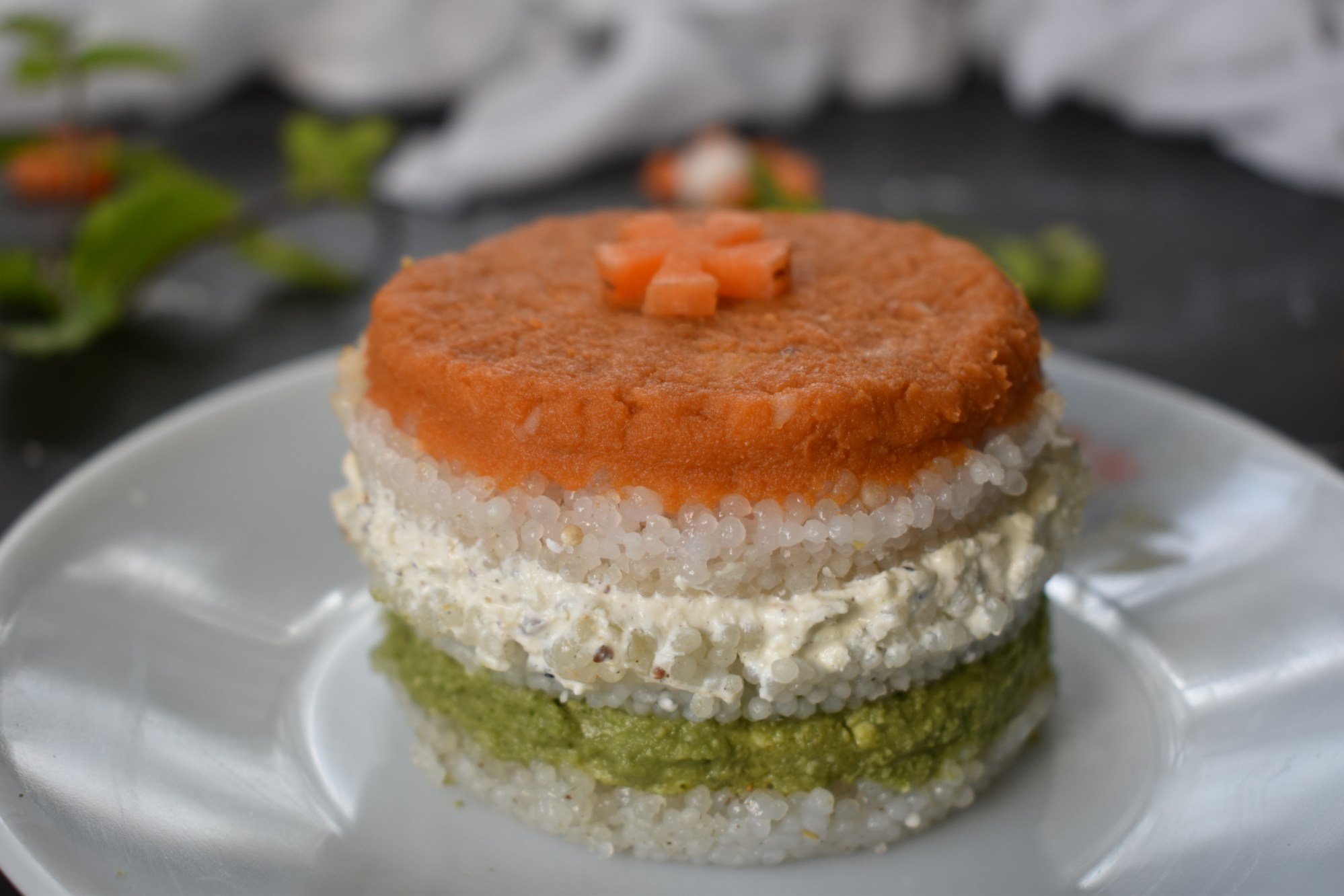 Tricoloured Steamed Sabudana Savoury Cake – FOODIESTREASURE